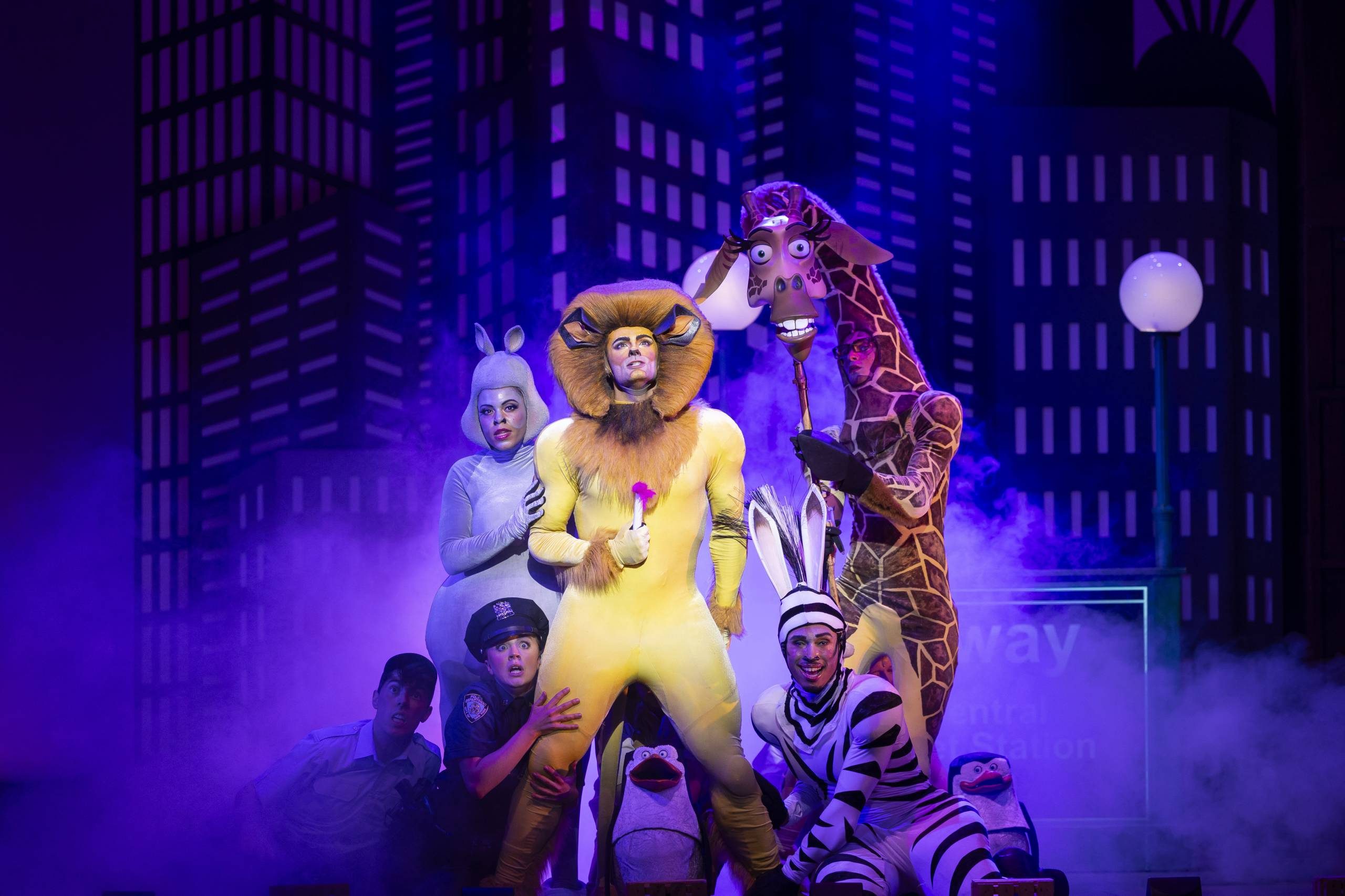 Madagascar | Aberdeen Performing Arts